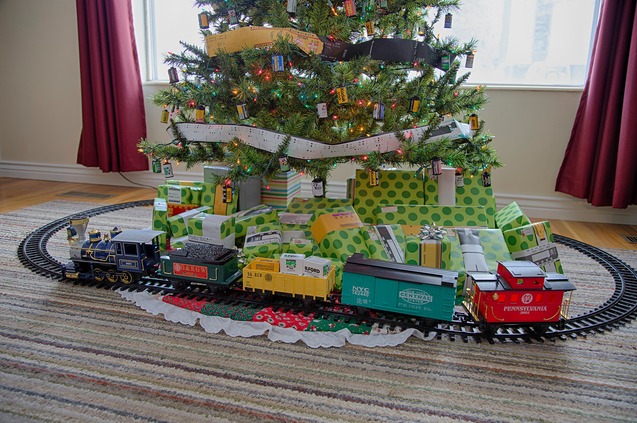 Film Christmas Tree – Utah Film Photography