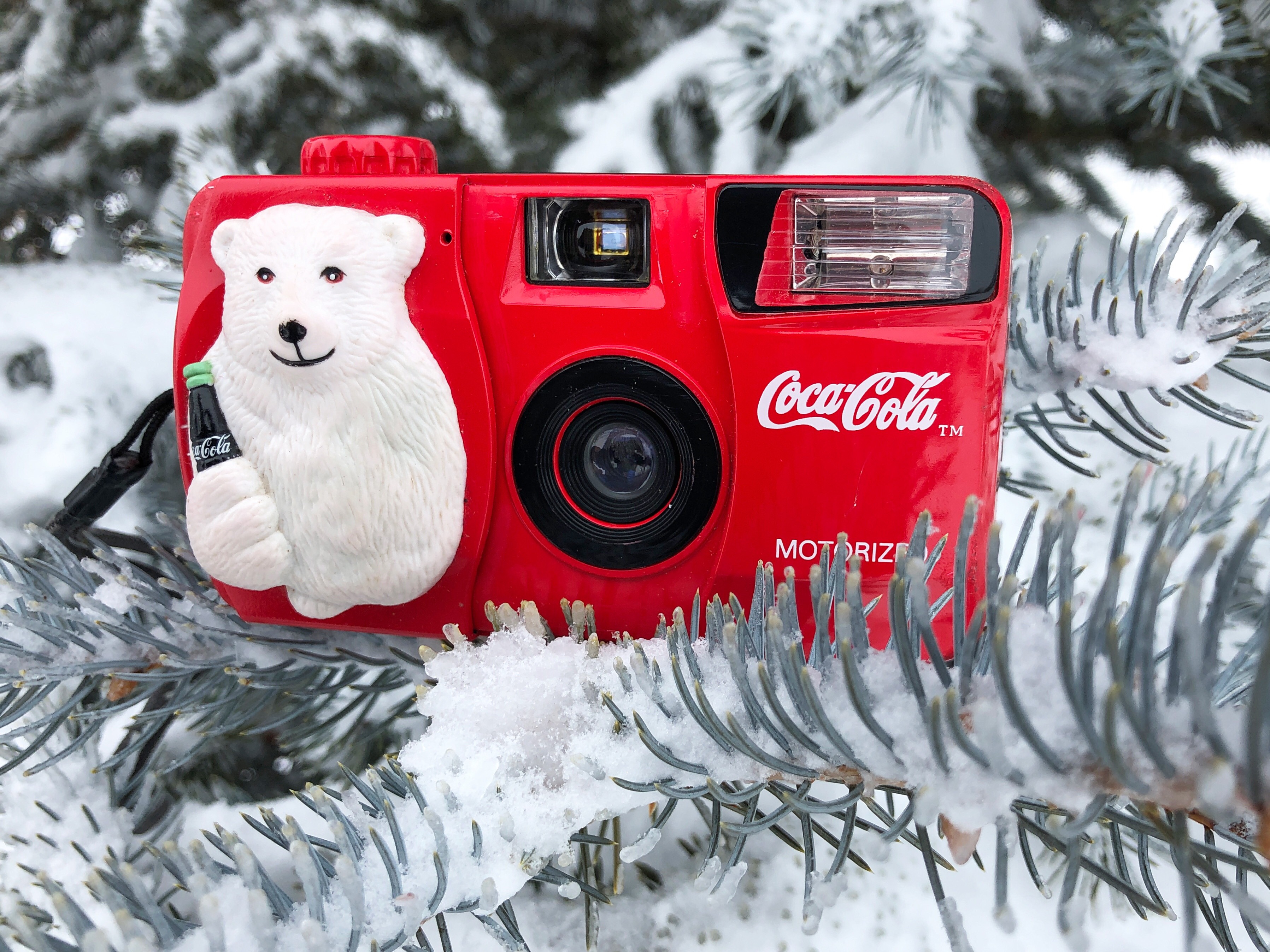 Coca-Cola Polar Bear Camera – Utah Film Photography