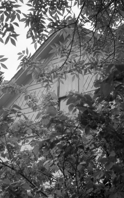 Haunted? Stricker Ranch – Hansen, Idaho – Utah Film Photography